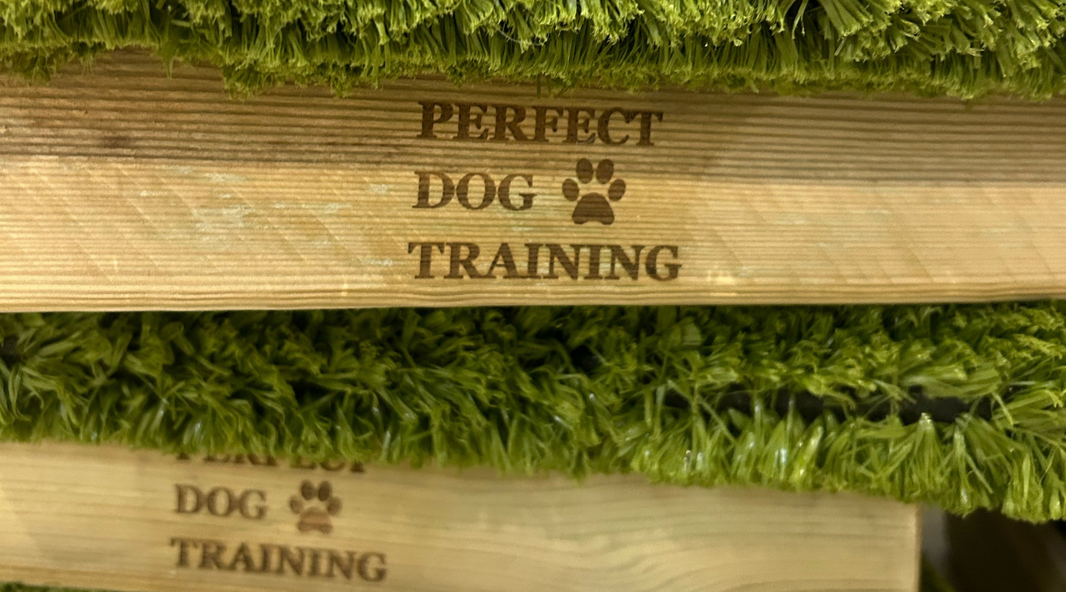 Place Board Dog Training Guide | Anglian Dog Works