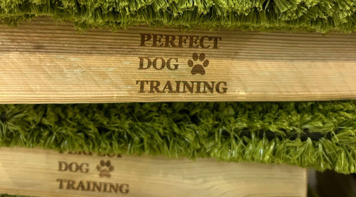 Place Board Training Tips for Dogs | Perfect Dog Training – Anglian Dog ...