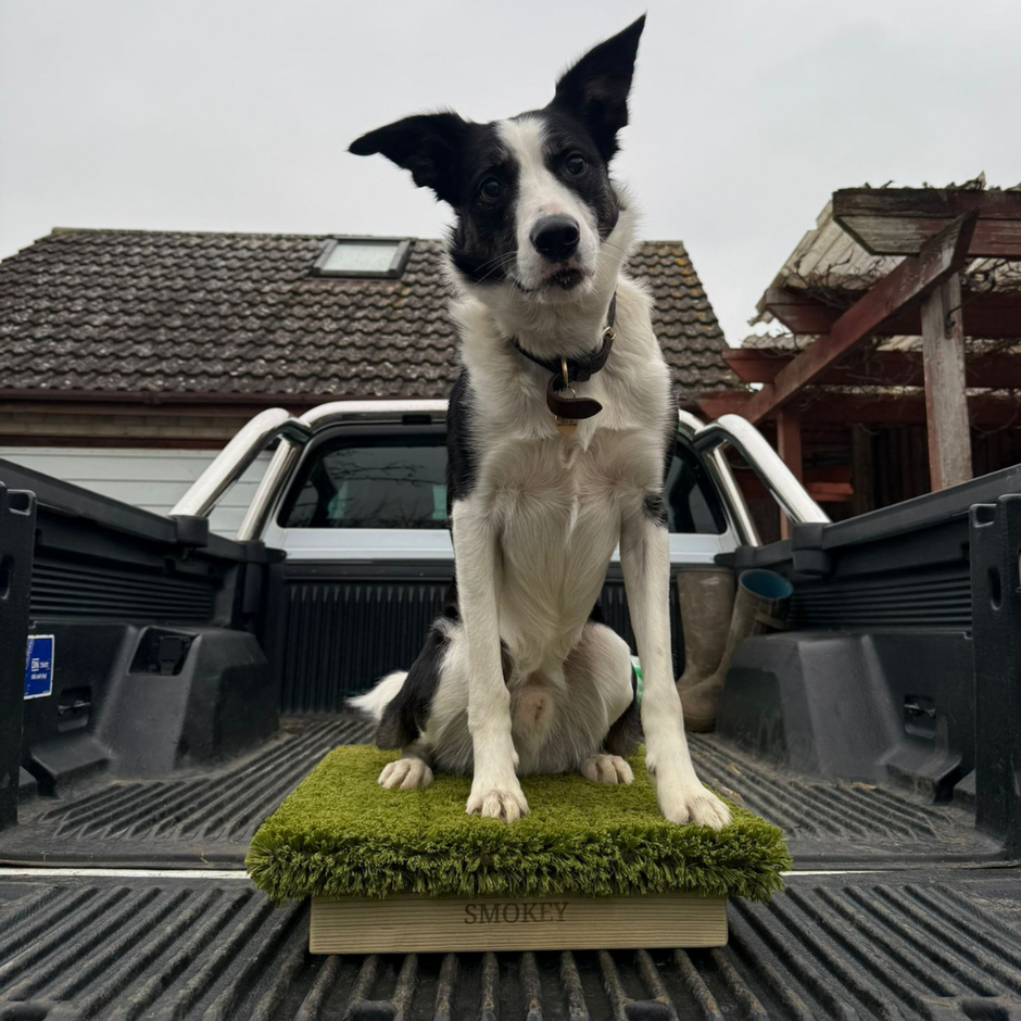 Dog Training Place Board | Anglian Dog Works