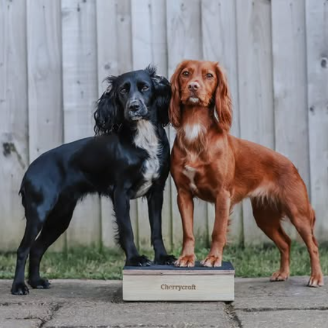 Dog Training Pivot Box – Obedience, Heelwork, IGP, Schutzhund Training ...