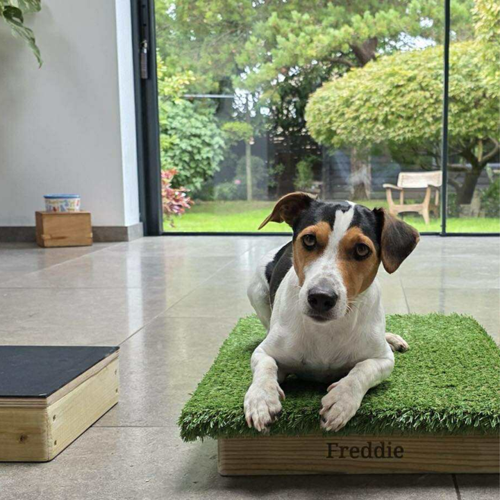 Dog Training Place Board | Anglian Dog Works