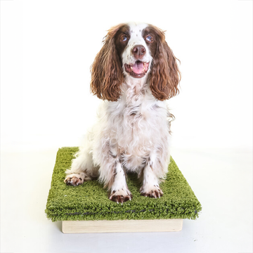 Premium Dog Place Boards for Training - Wooden Dog Obedience Platform ...